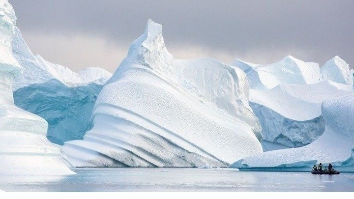 Petition · Stop the willow project - Indonesia · Change.org