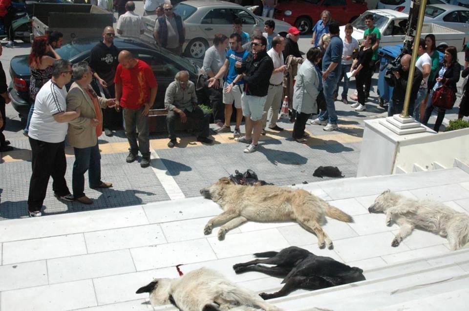Petition · Δήμαρχο ΧΑΡΟΥΛΑ ΟΥΣΟΥΛΤΖΟΓΛΟΥ ΓΕΩΡΓΙΑΔΗ: Find and prosecute ...