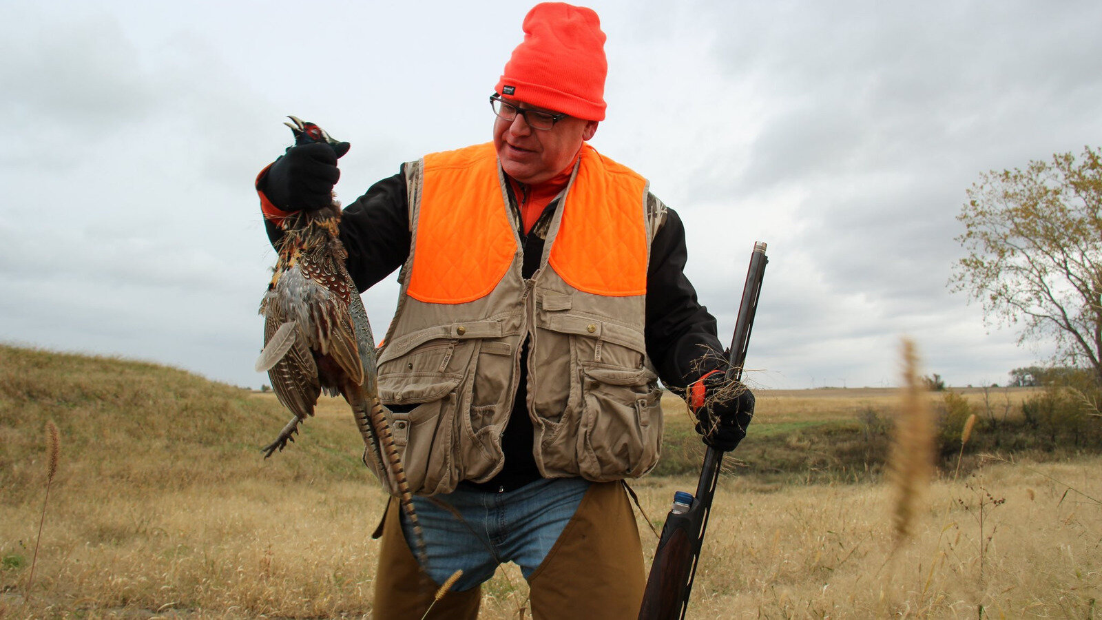 Petition · Urge Governor Tim Walz to Advocate for Wildlife Instead of ...