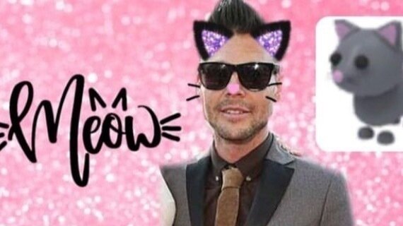 Petition · Dane Rumble Celebrity Cameo at G . A . Y Auckland - New ...