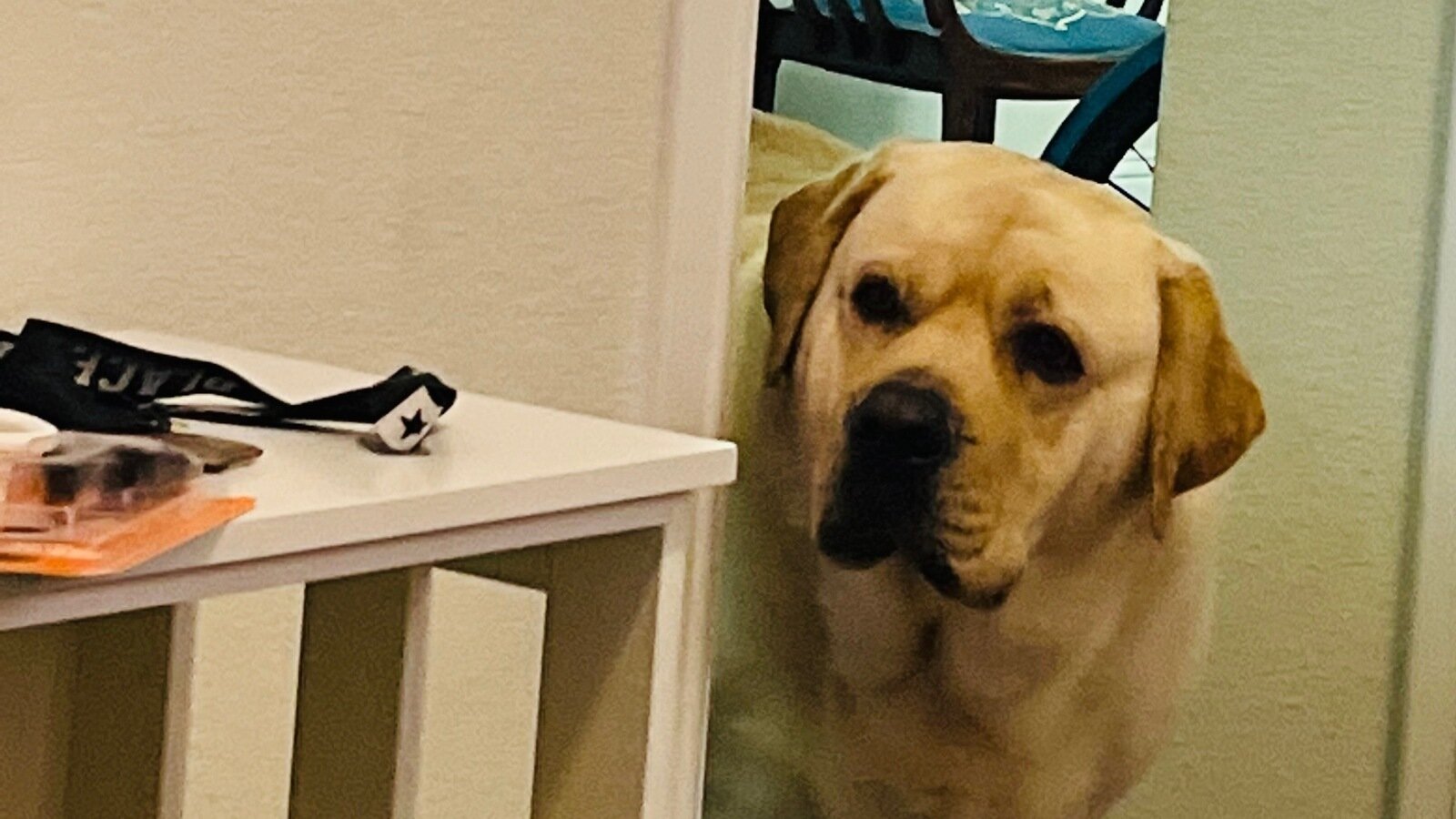 Petition · Extend Weekends to 4 Days, Including Fridays! - United ...