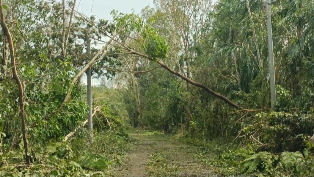 Petition · Distribution of relief goods to the family affected by the ...