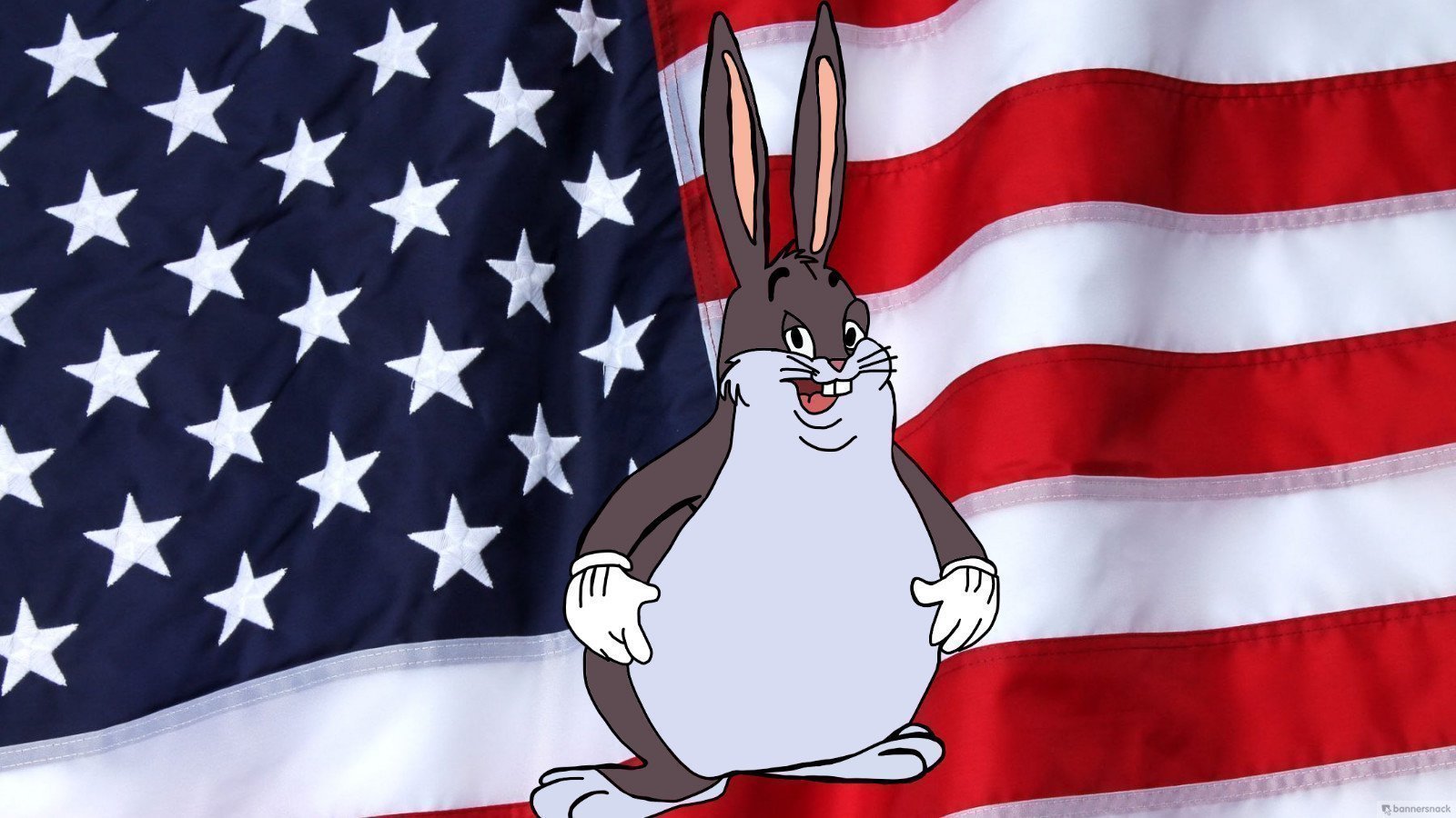 Petition · Make Big Chungus The National Mammal - United States ...