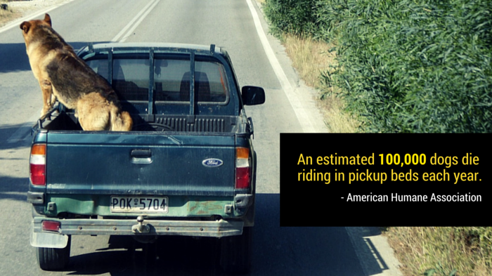 Petition · Ordinance to Prohibit Animals in the Back of Pick-up Trucks ...