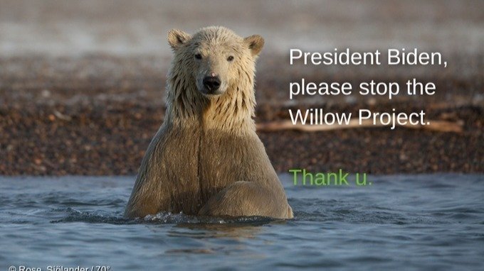 Petition · Biden Administration and ConocoPhillips: SAY NO TO THE ...