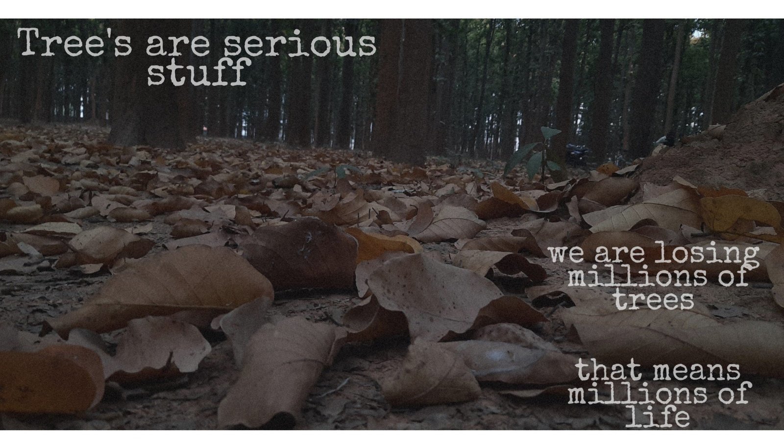 Petition · WE NEED TREES : we are lossing 15 millions trees every year ...