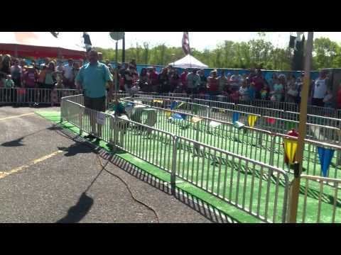 Petition · Remove "exotic animal" exhibit from Brookhaven Fair - United ...