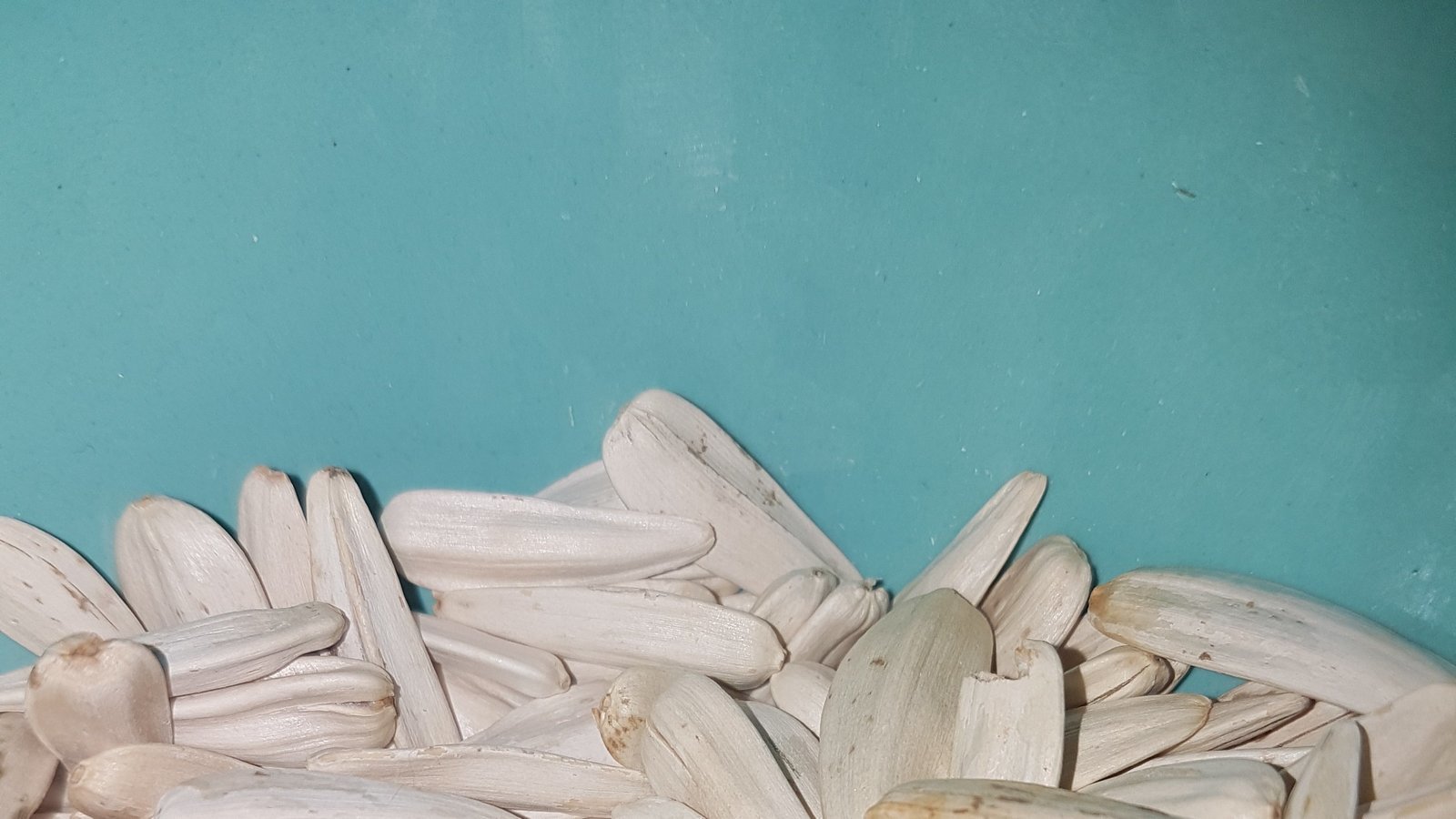 Petition · Sa va fut mamele in cur - Romania · Change.org