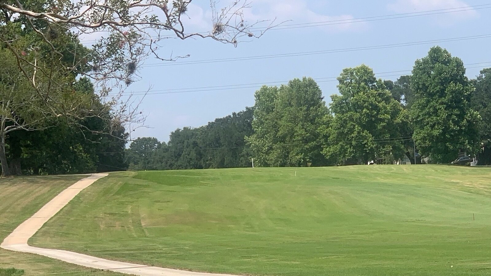 Petition · Create a spectacular City Park for Baton Rouge in place of a ...