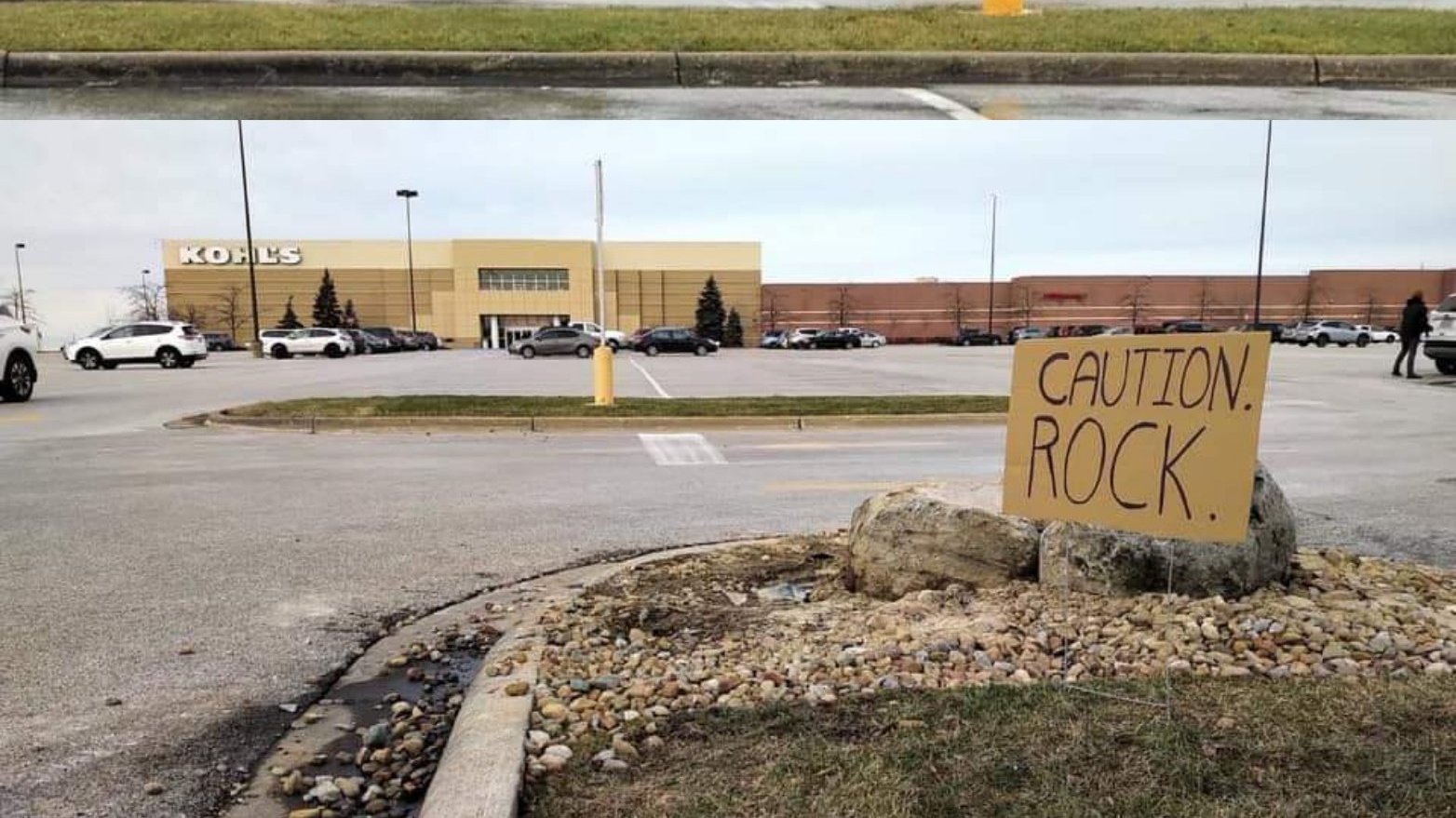 Petition · Put the Kohl's rock back! - Canada · Change.org