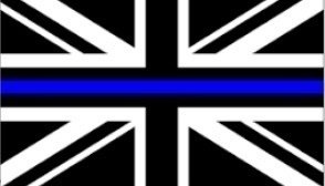 Petition · REMOVE THE ‘THIN BLUE LINE’ EMBLEM IN UK POLICE UNIFORMS ...