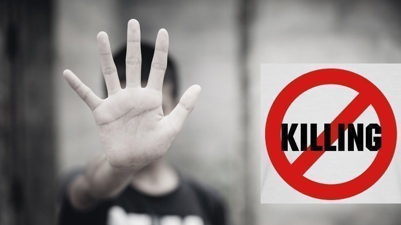 Petition · NO KILLING DAY - United States · Change.org