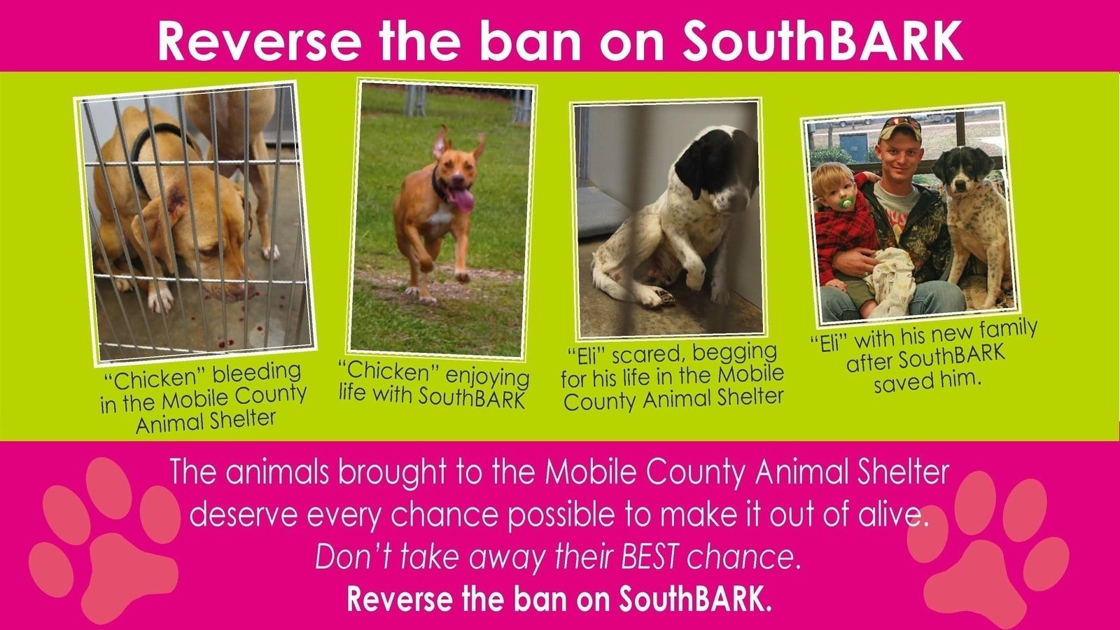 Petition · Reverse the ban on SouthBARK Animal Rescue from the Mobile ...