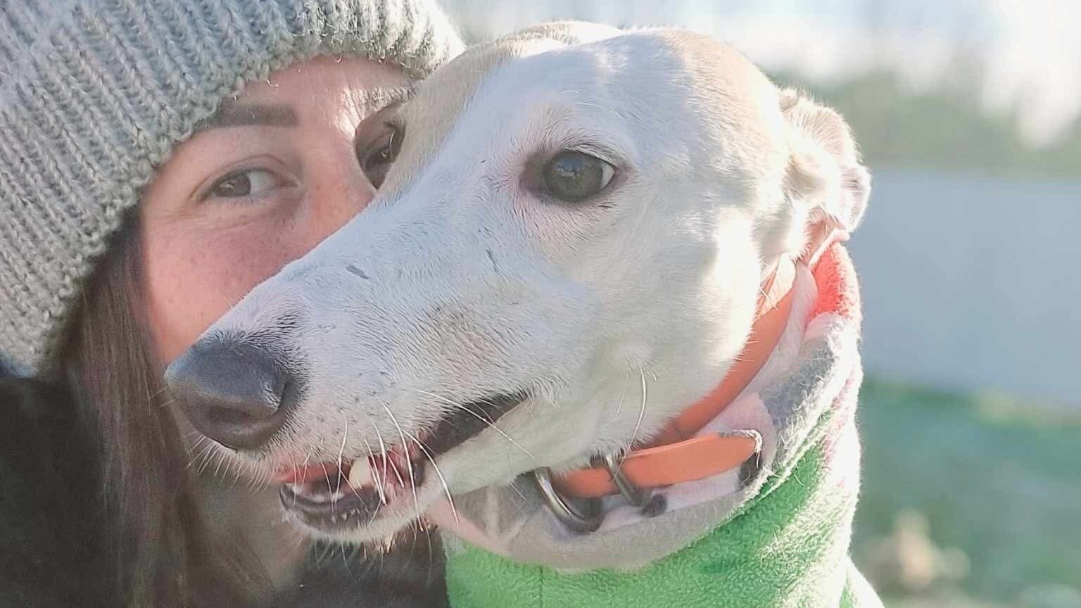 Petition · Reverse the Ban on Greyhound Racing in New Zealand ...