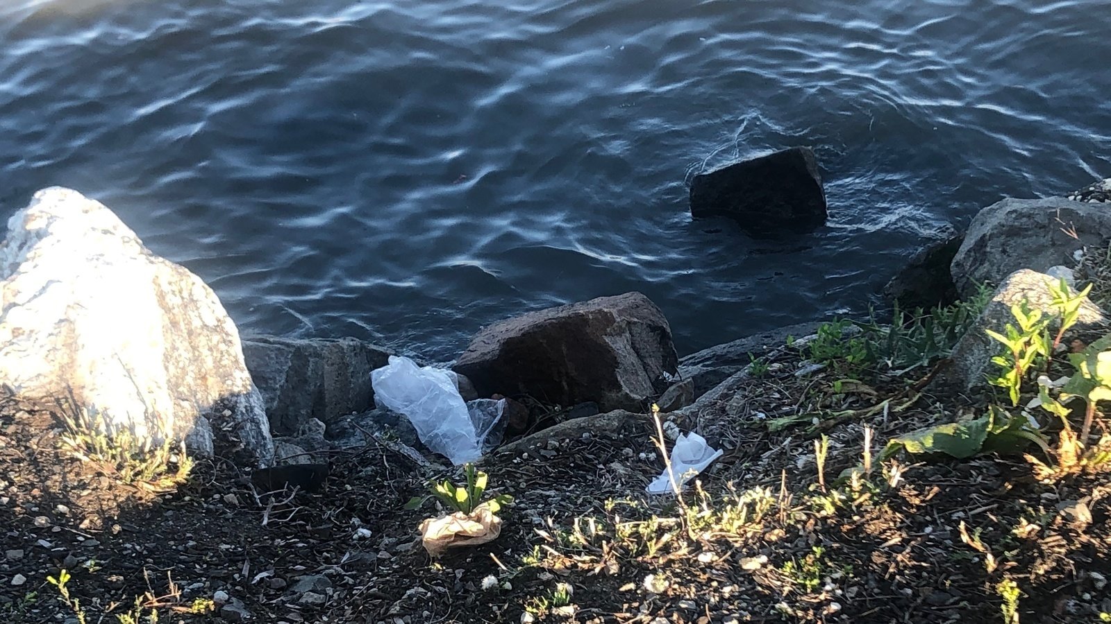 Petition · Cleaning of the Edgewater, NJ waterfront. - United States ...