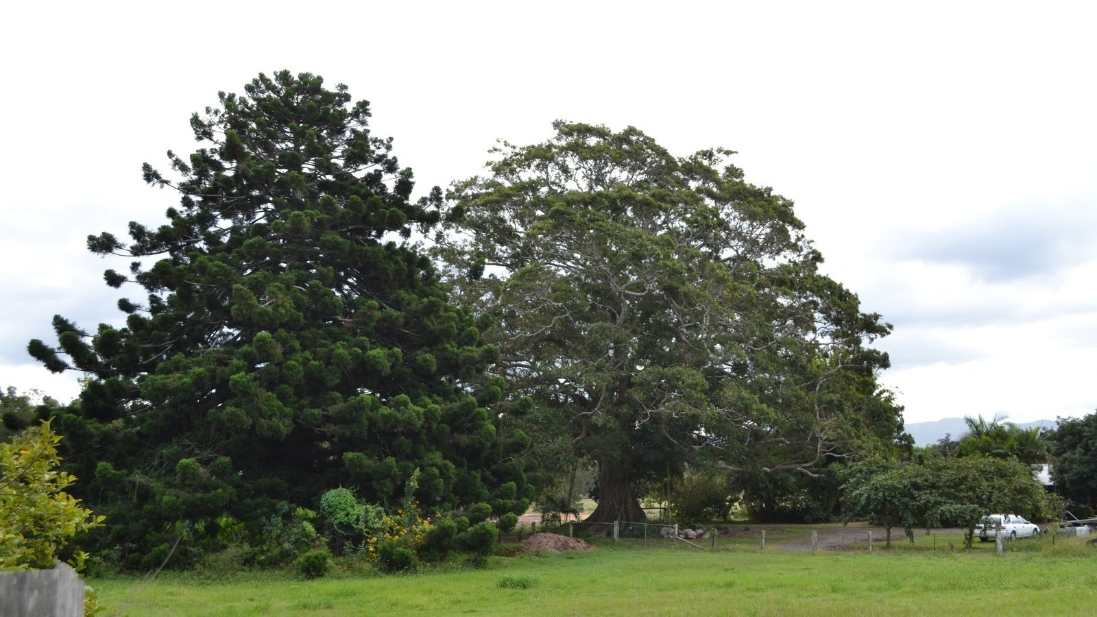 Petition · Ensure the protection of the National Trust Listed Dorrigo ...