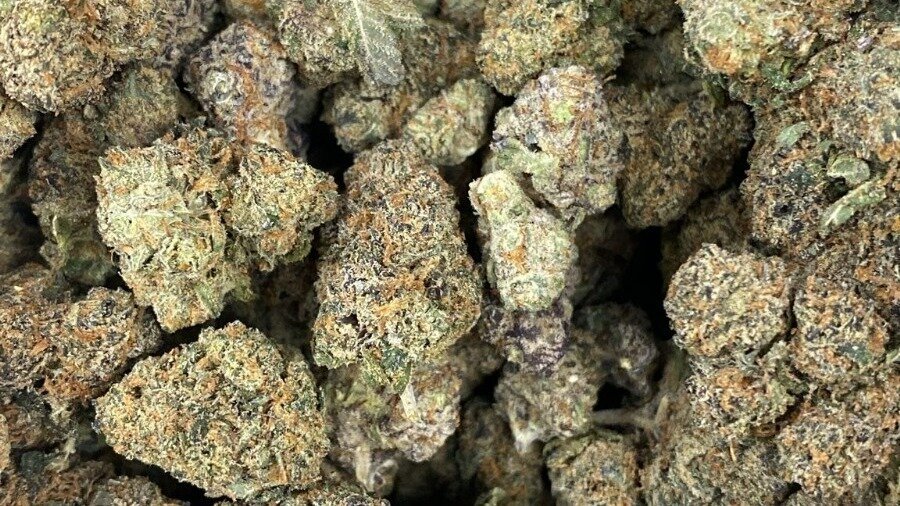 Petition · Stop the CBD law 2025 - United States · Change.org