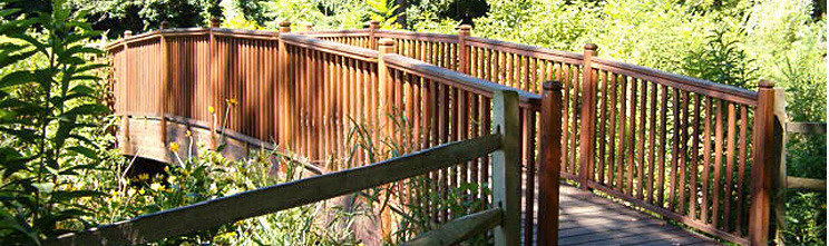 Petition · Allow Dogs to Walk in Emmaus Community Park - United States ...