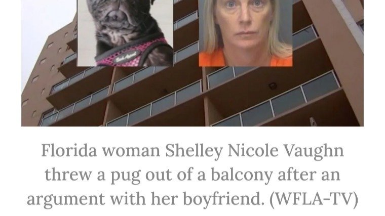 Petition · Maximum Criminal Penalty Shelley Nicole Vaughn, Dog Killer ...