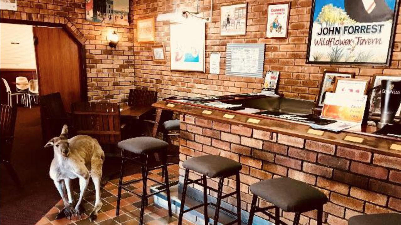 Petition · John Forrest Tavern - Help Manky and his mates - Glen ... Petition · John Forrest Tavern - Help Manky and his mates - Glen ...