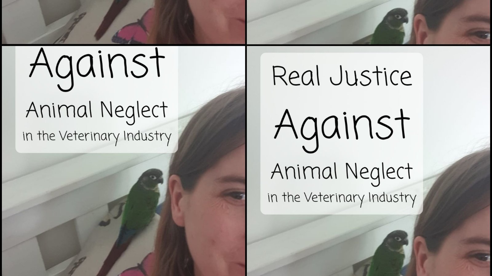 Petition · Change veterinary negligence law! - United Kingdom · Change.org