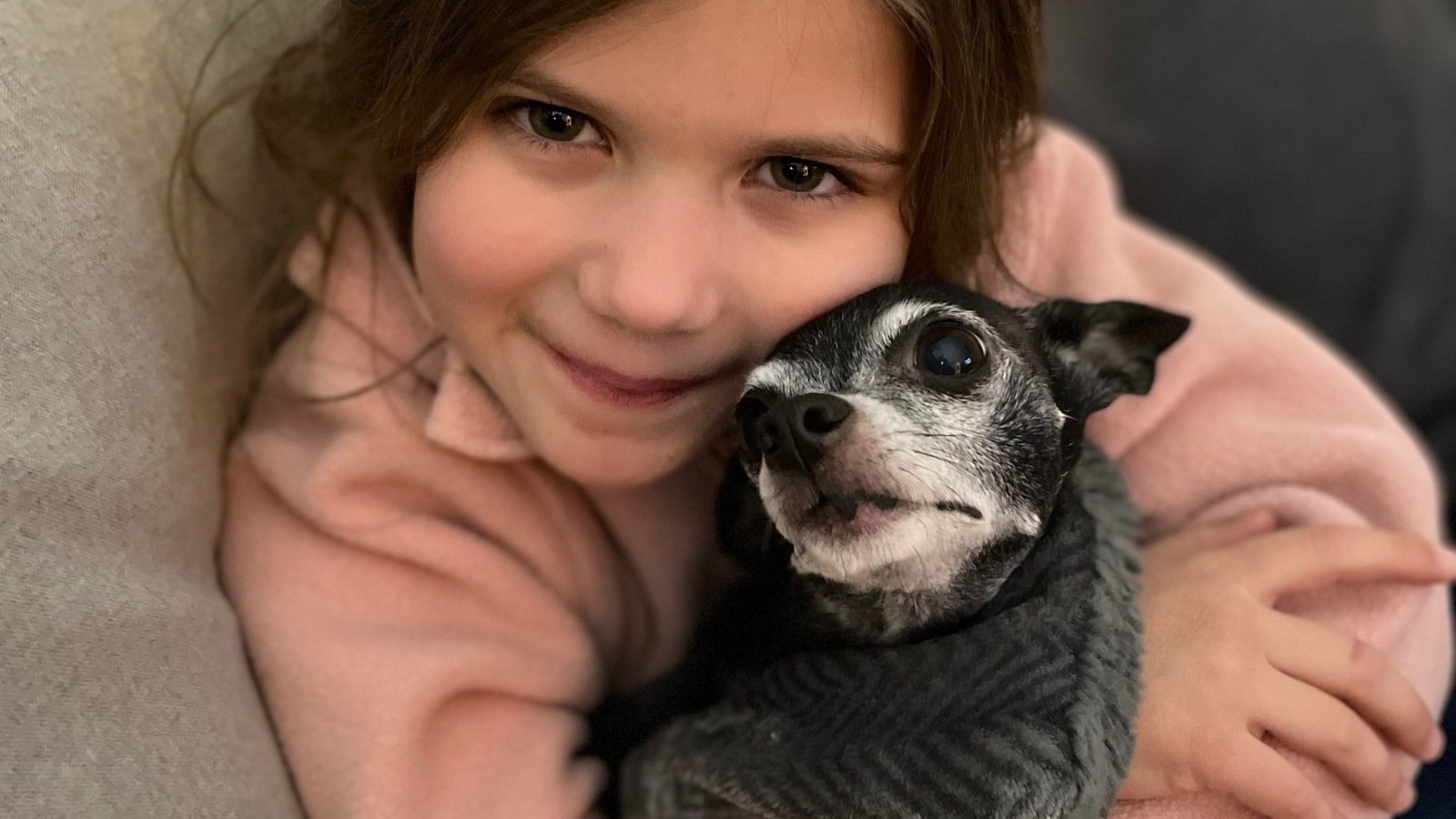 Petition · Bring Chooch Home - Canada · Change.org