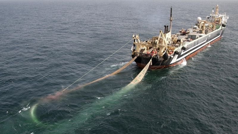 Petition · Scallop Dredging Destroys Fish's Habitats - United Kingdom ...