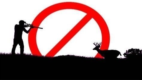 Petition · Petition against hunting - Singapore · Change.org