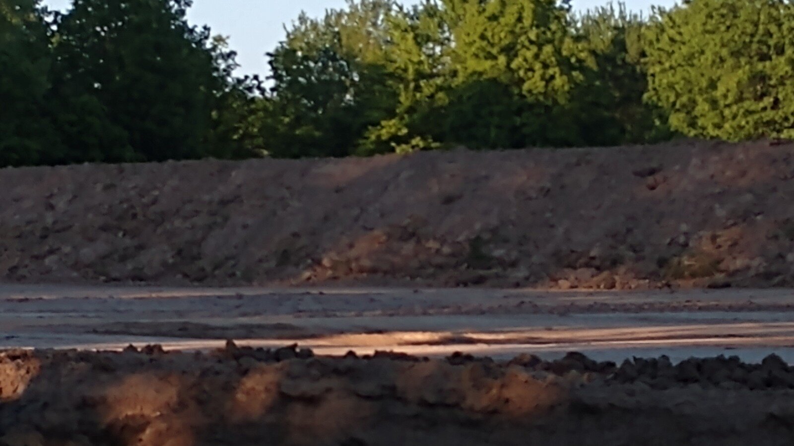 Petition · Parma officials are encouraged to use Urban Forestry ...