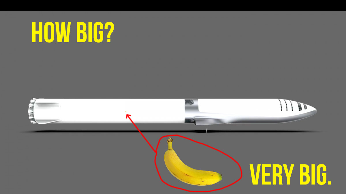 Petition · Paint a banana on every future SpaceX spacecraft so we can ...