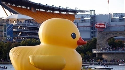 Petition · BRING THE WORLDS LARGEST RUBBER DUCK BACK TO THE POINT ...
