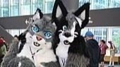 Petition · I want to get rid of school furries - United States · Change.org