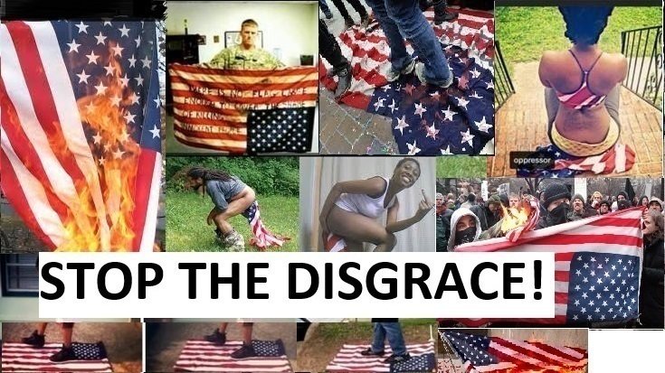 Petition · PROHIBIT THE DESECRATION OF THE US FLAG - United States ...