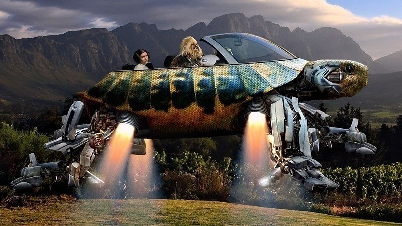 Petition · send a turtle into space - Seattle, United States · Change.org