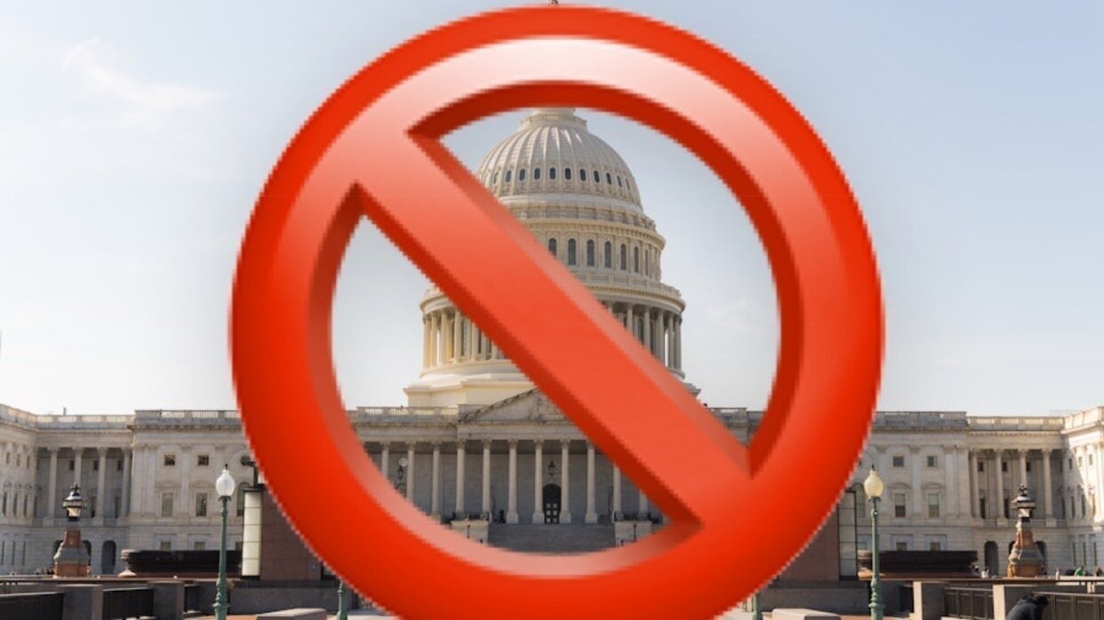 Petition · The Congressional Accountability Amendment - United States ...