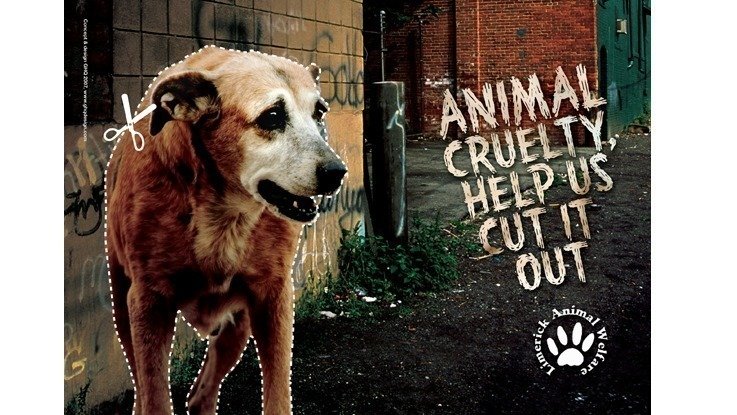 Petition · Stop the killing of wild Animals - United States · Change.org