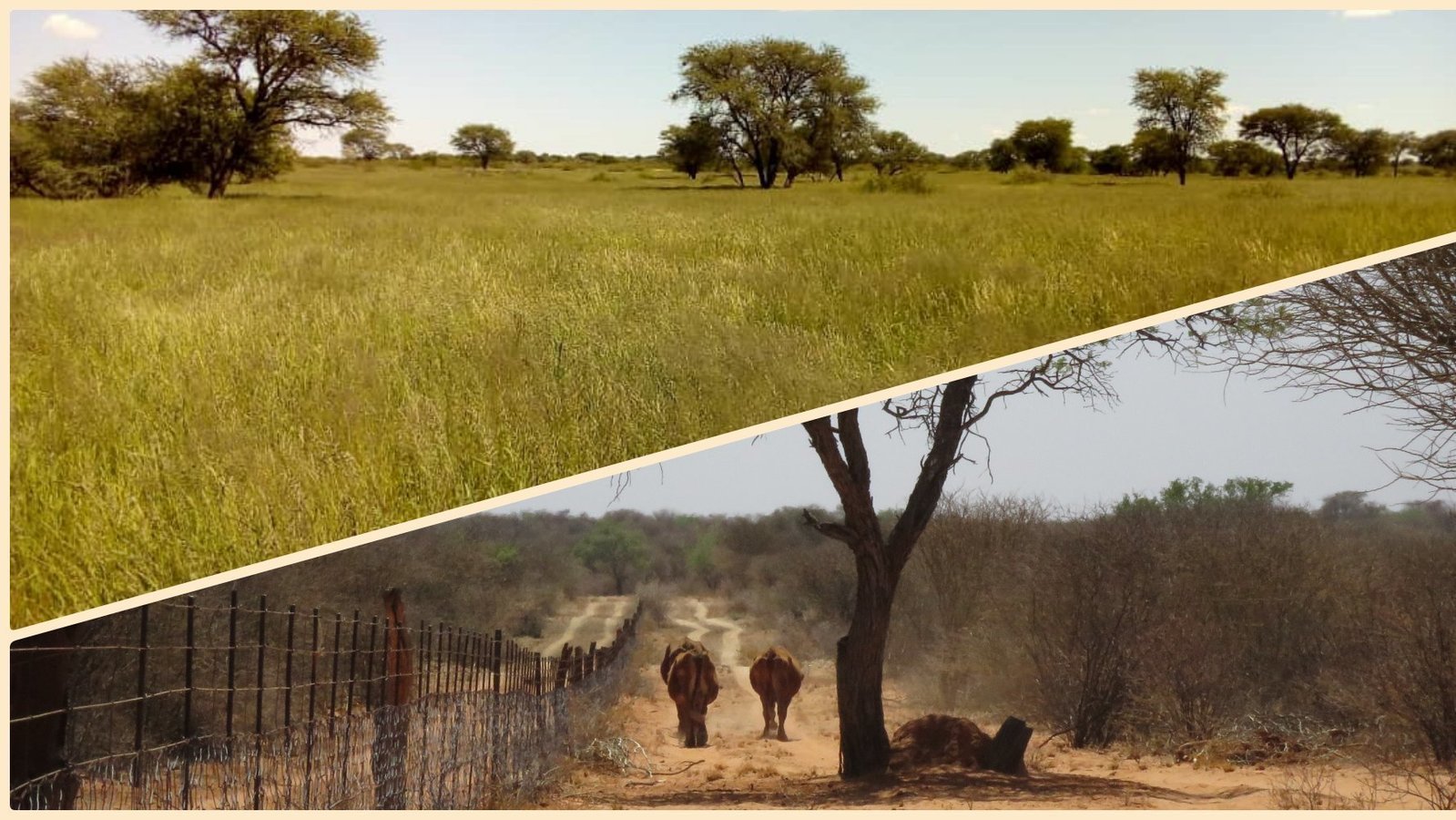 Petition · OPPOSING DRILLING/MINING FOR URANIUM IN THE STAMPRIET ...