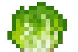 Petition · Add Lettuce to Minecraft - Australia · Change.org