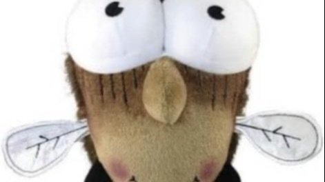 Petition · Fly Guy for Fortnite - United States · Change.org