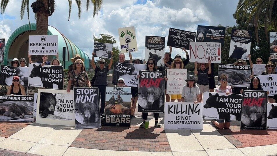 Petition update · FLORIDA BEAR DEFENDERS UPDATE AND CALLS TO ACTION ...