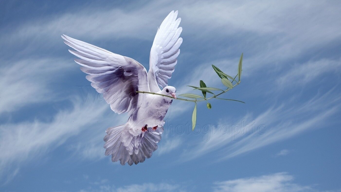 Petition · DEMAND THE UN ENACT ARTICLE 377A : “Uniting for Peace ...