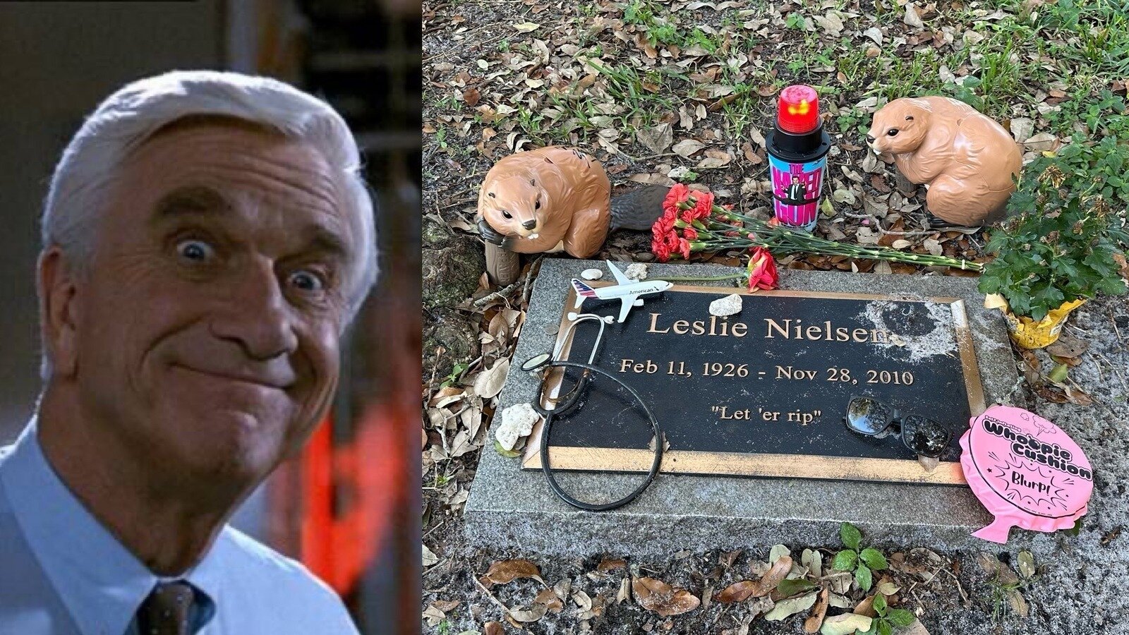 Petition · Declare February 11, 2026 as Leslie Nielsen Day in Fort ...