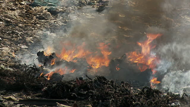 Petition · Stop burning of garbage in Pune, and take a lesson from ...