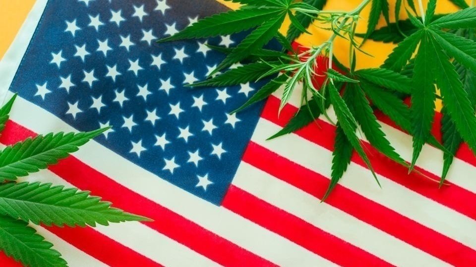 Petition · Federal legalization of Marijuana in the USA - United States ...