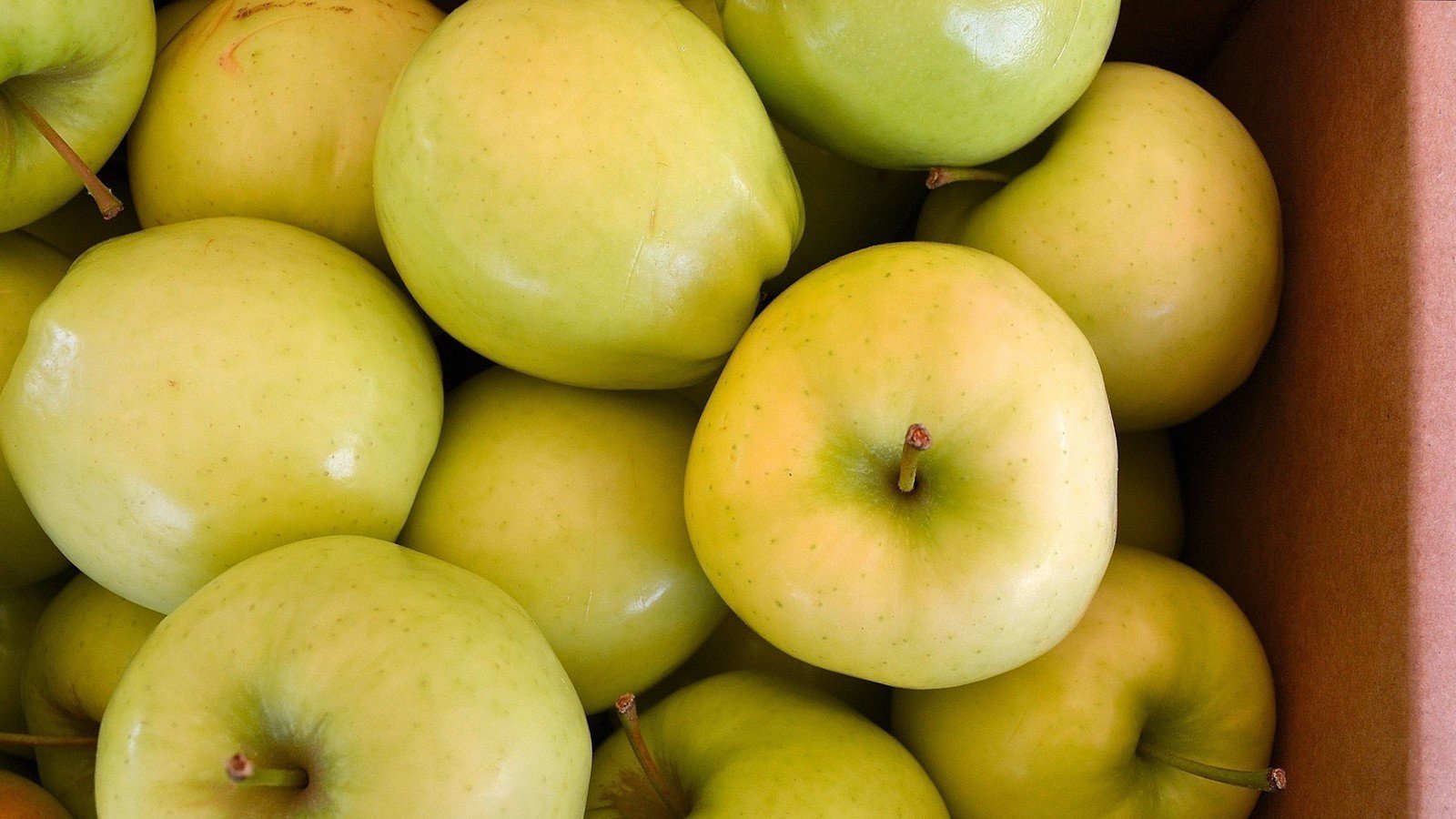 Petition · Vote of No Confidence in Dr. Alicia Roy As New Fairfield's ...