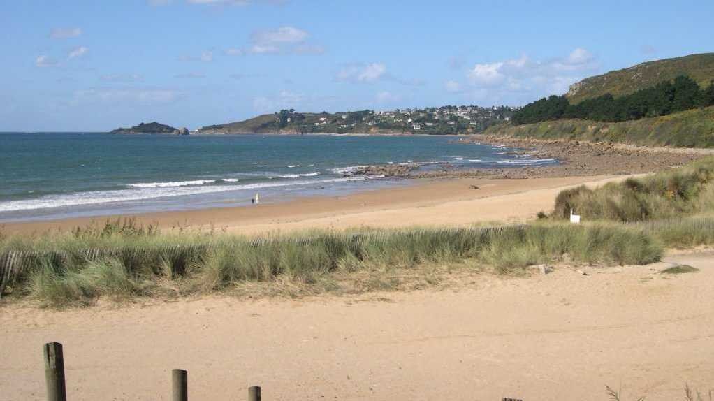 Pétition · avant qu'il ne soit trop tard : sauver l'eco systeme du ...