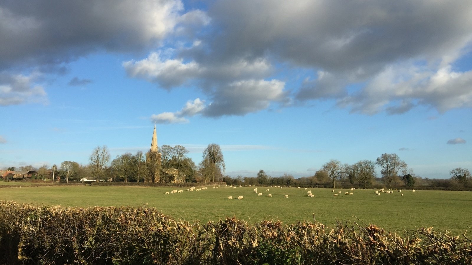 Petition · Installation of a path on the land at the end of church lane ...
