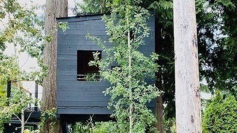 Petition · Let the Rennie Treehouse Stay - Canada · Change.org
