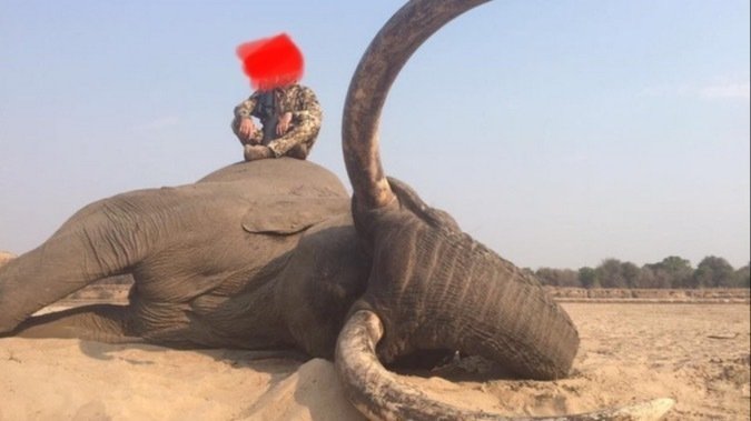 Petition update · Be a voice for endangered species and help ban trophy ...