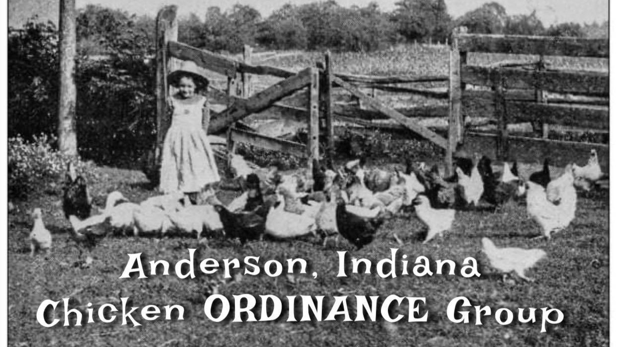 Petition · SAVE THE Chickens and/or prevent CITIES from BANNING ...